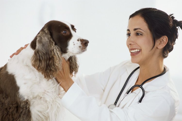 EBVM Boosts Animal Health In Everyday Consultations | Vetlab Supplies Ltd