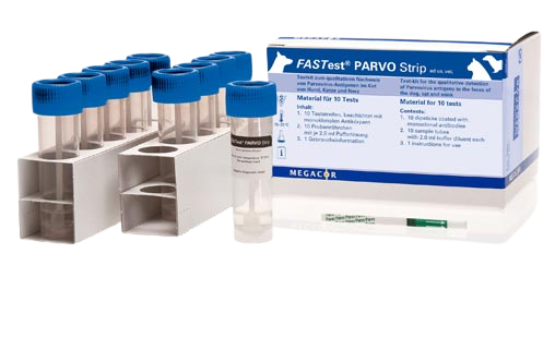 FASTest Parvo Card - Canine Parvovirus | Vetlab Supplies Ltd
