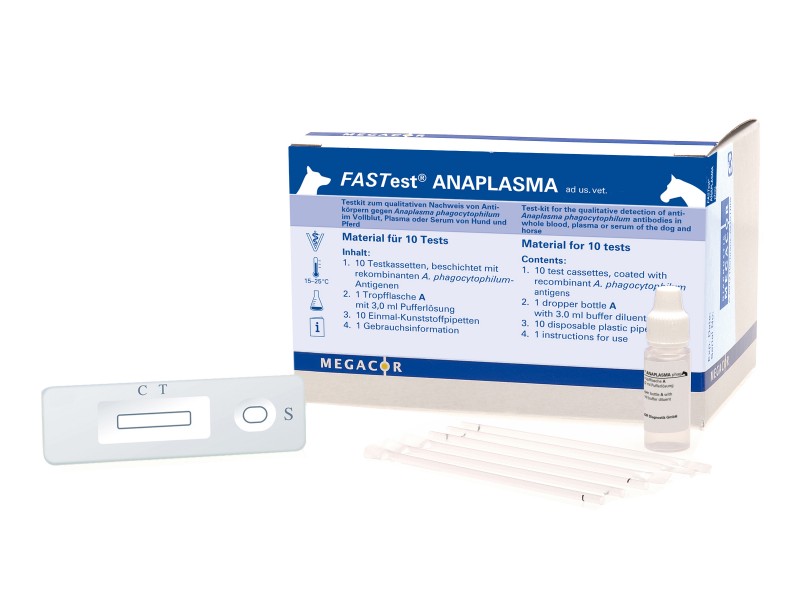 FASTest Anaplasma Veterinary Diagnostic Test Kit | Vetlab Supplies Ltd