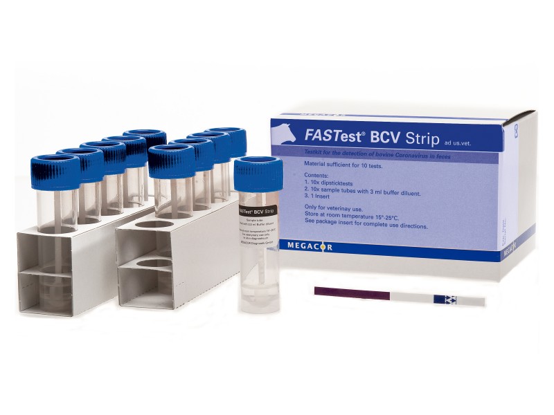 What is Bovine Coronavirus (BCV)? | Vetlab Supplies Ltd