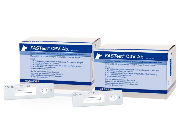 FASTest CPV Ab, Blood Test For Parvovirus | Vetlab Supplies Ltd