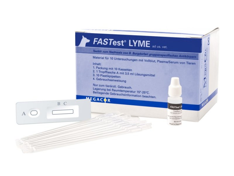 FASTest Lyme Diagnostic Test Kit | Vetlab Supplies Ltd