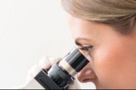 Microscope Heated Stage for live cell analysis | Vetlab Supplies Ltd