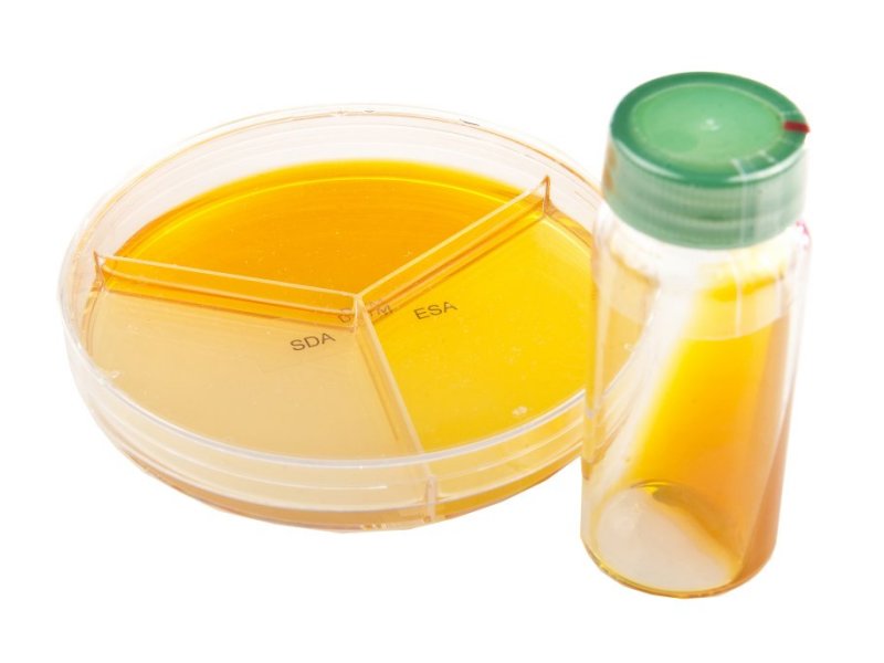 Mykodermoassay DTM & Mykodermoassay Trio Test | Vetlab Supplies Ltd