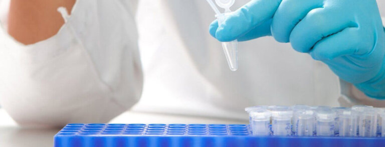 Wholesale Vet Supplies & Products for Practices & Labs | Vet Supplies ...