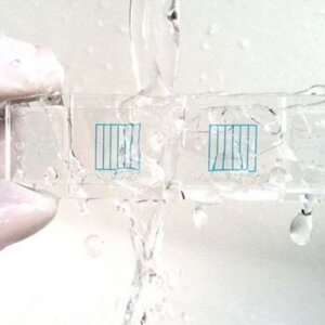 McMaster Counting Slides/Chambers | Mcmaster Slides