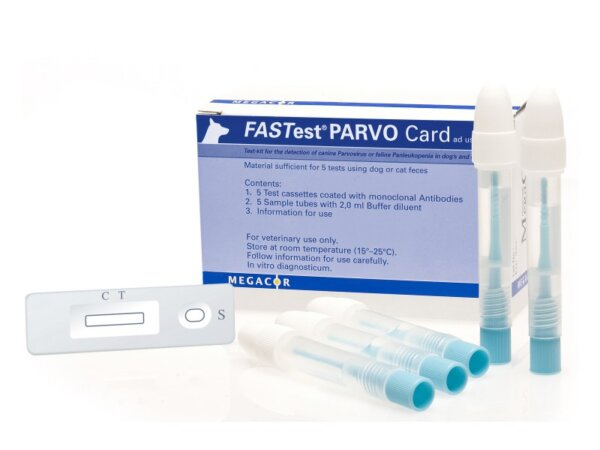 FASTest Parvo Card - Canine Parvovirus | Vetlab Supplies Ltd