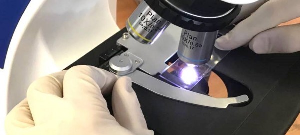 Wholesale Vet Supplies & Products for Practices & Labs | Vet Supplies ...